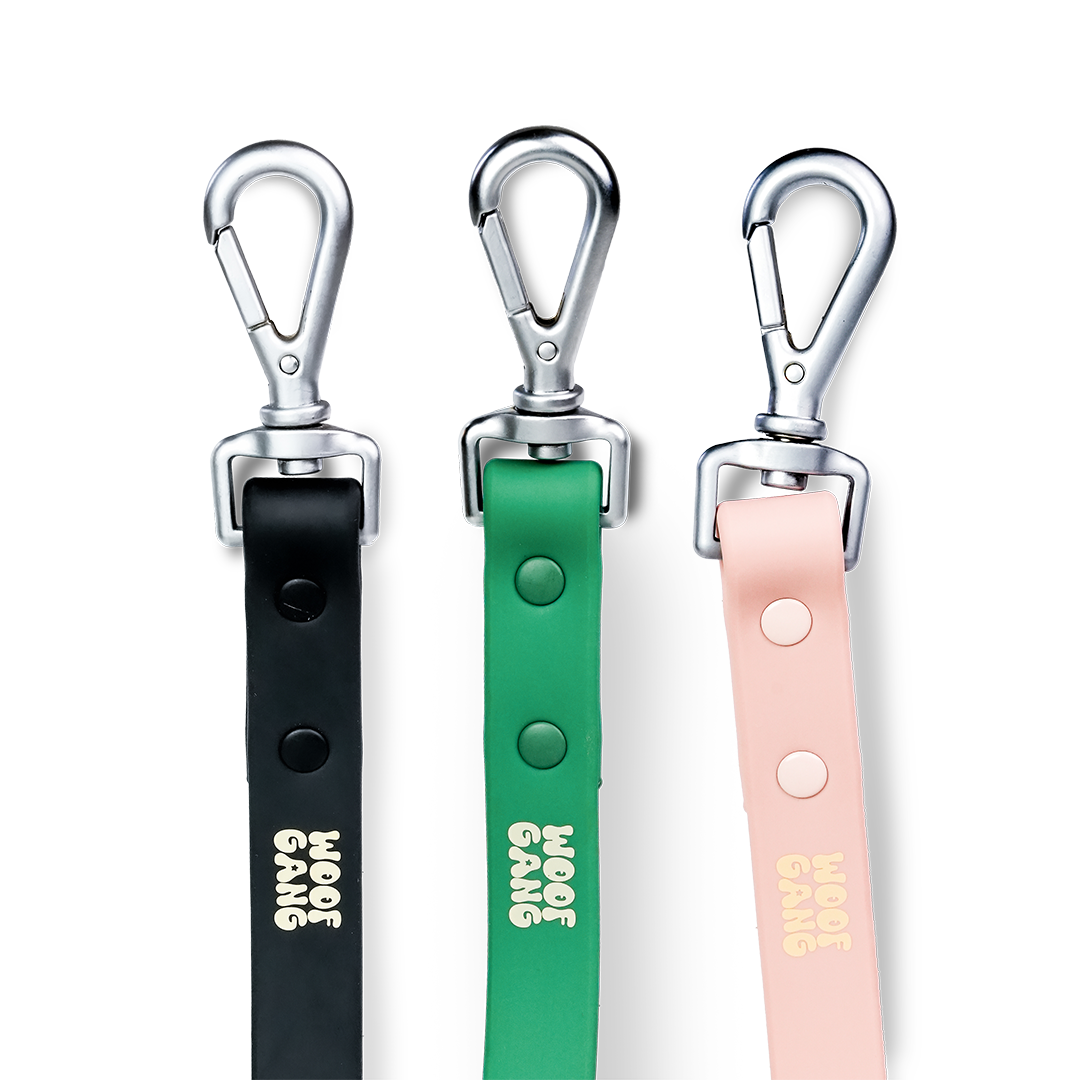 Woof Gang Essential Dog Leash